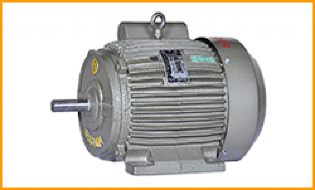 Suguna Pumps Electric Motor | PumpsCart